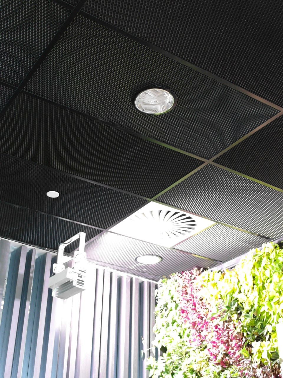Mesh Ceiling